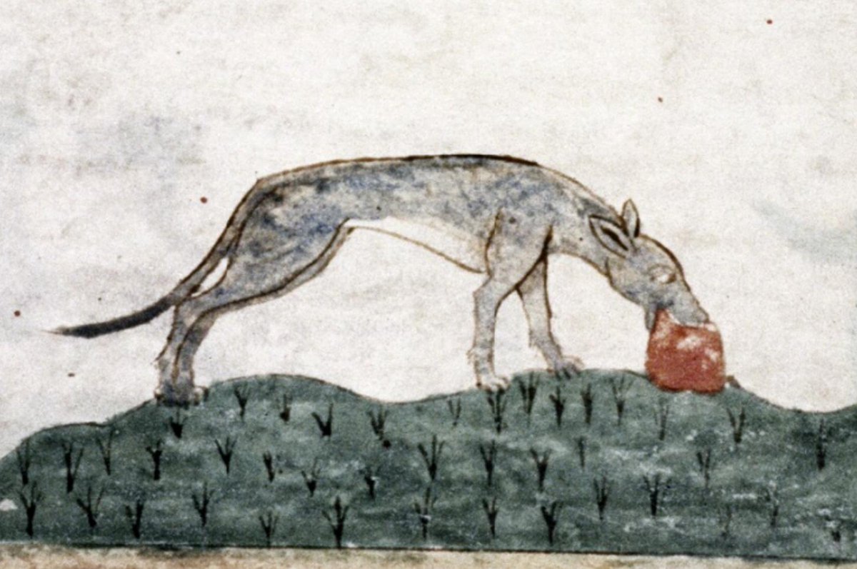 Dogs in Medieval Manuscripts - Saveca - Art & Paper distribution